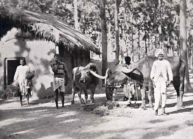 Purulia (India) | International Leprosy Association - History of Leprosy